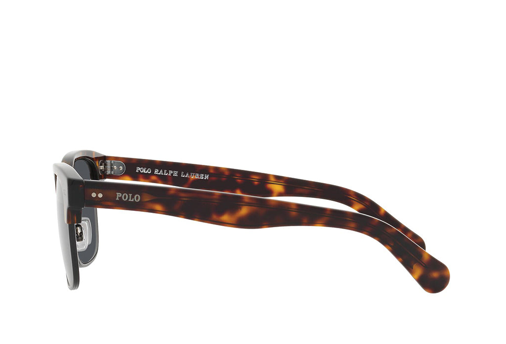 Polo Ralph Lauren 4202 Sunglass – Himalaya Optical