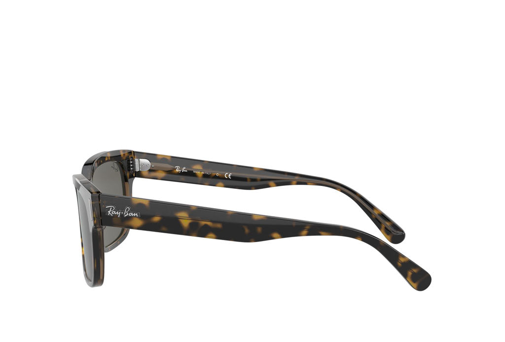 Ray-Ban 2190 Sunglass – Himalaya Optical